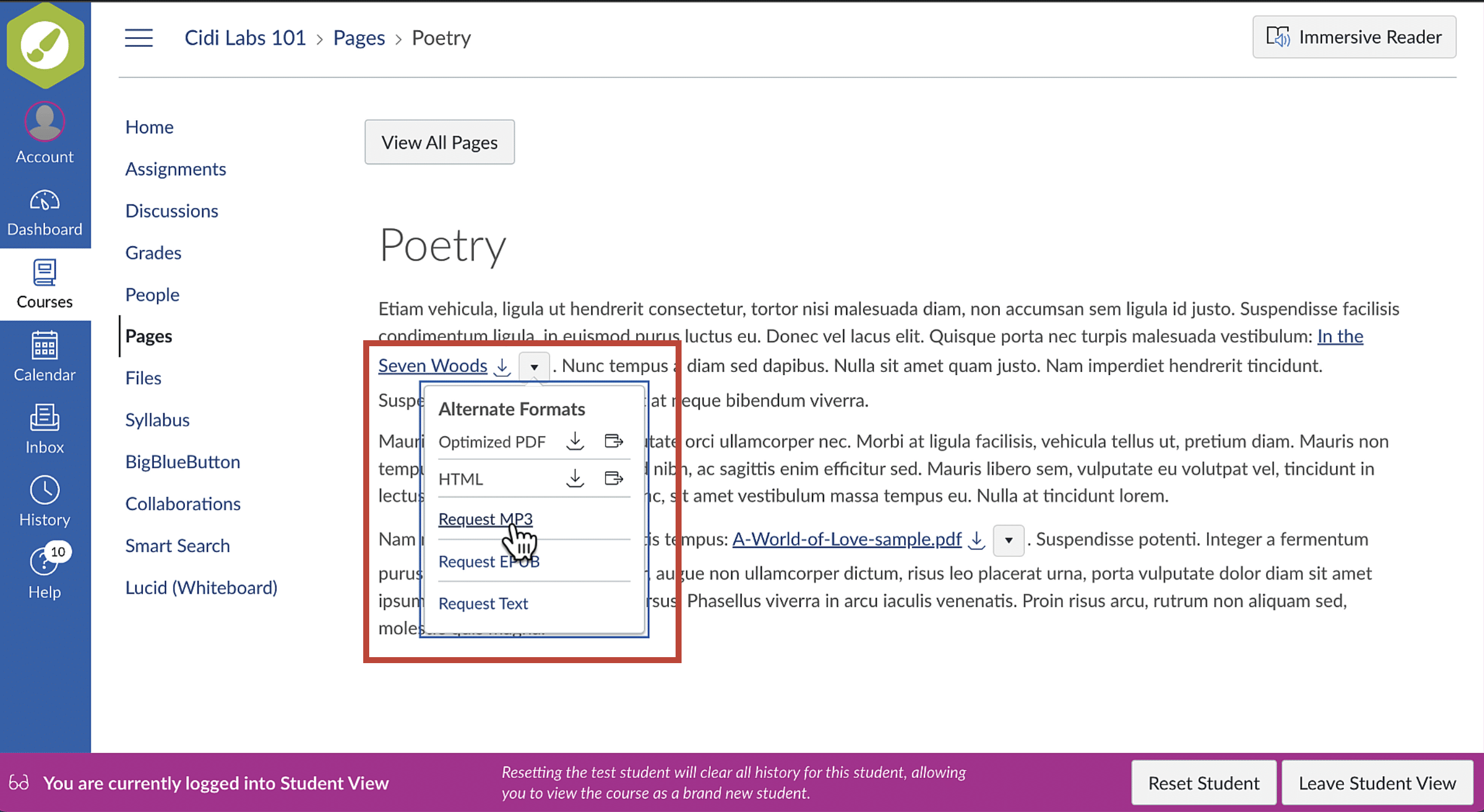 UDOIT Advantage Accessibility Tool for Canvas | Cidi Labs
