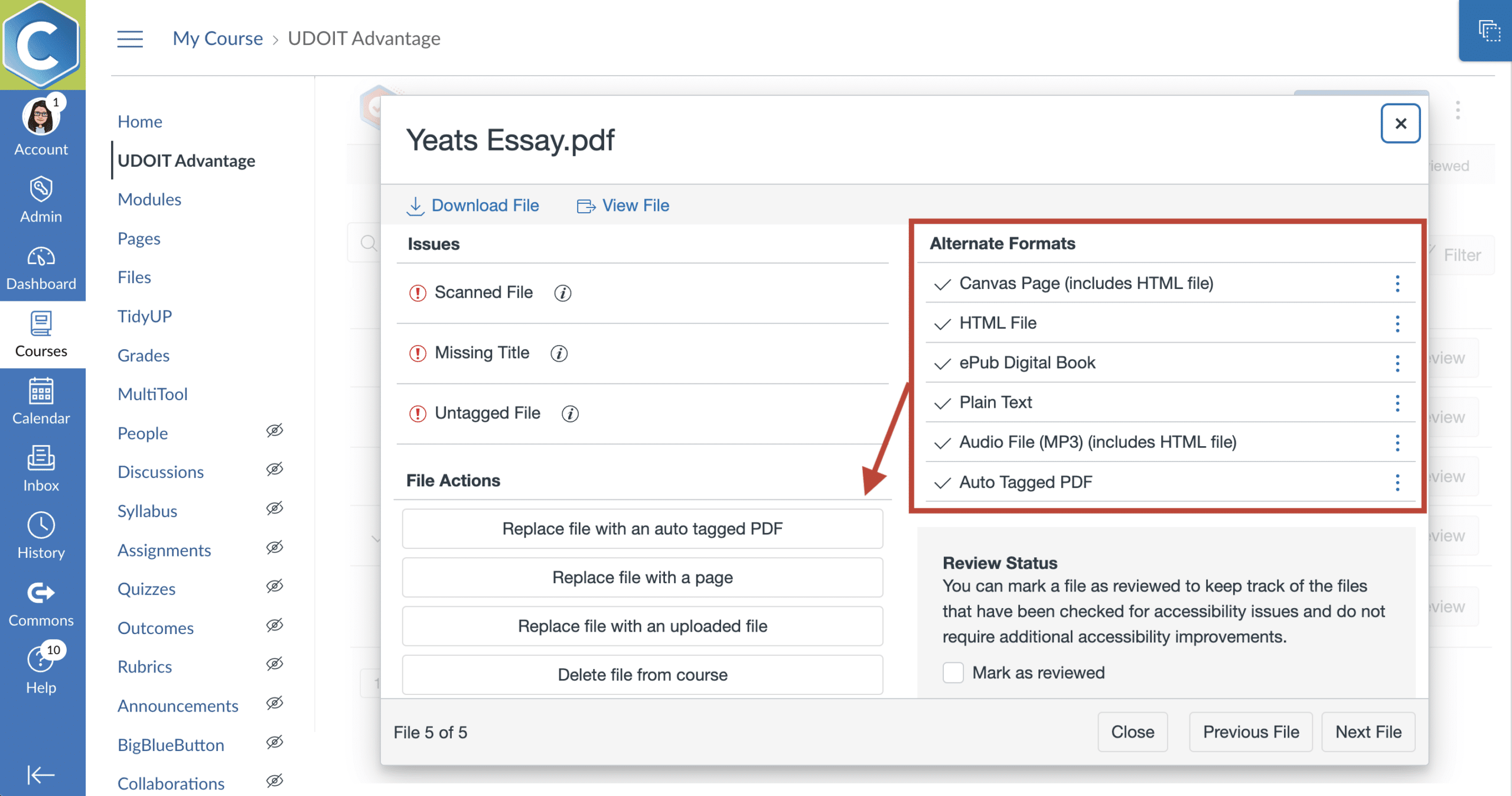 UDOIT Advantage Accessibility Tool for Canvas | Cidi Labs