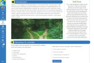 DP inner right 3 NEW (1) | Cidi Labs